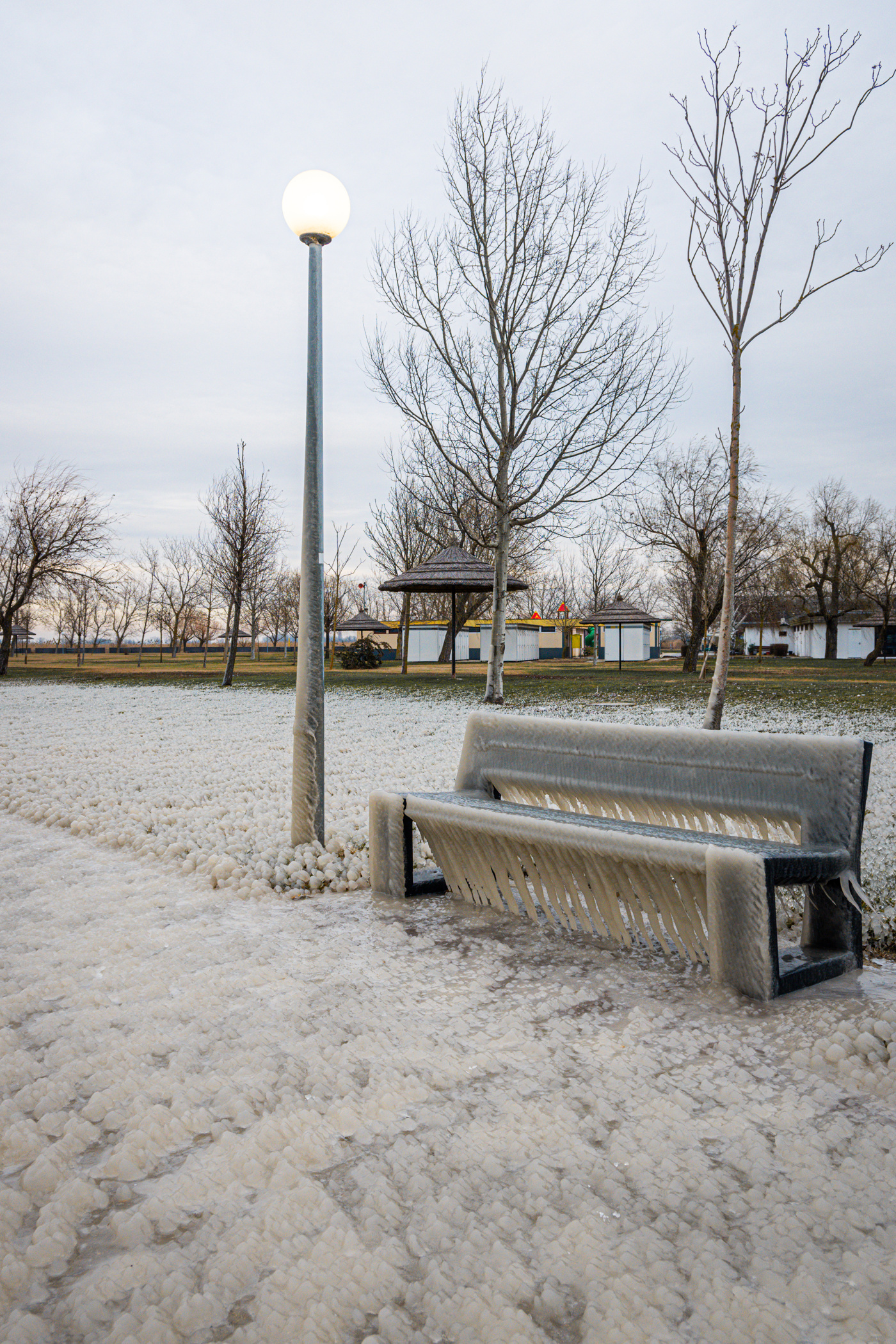 Startseite - Illmitz