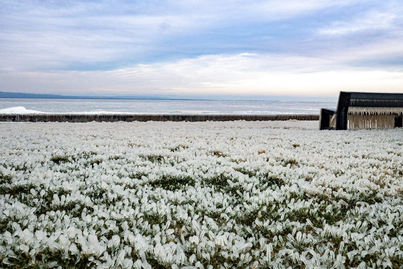 Startseite - Illmitz