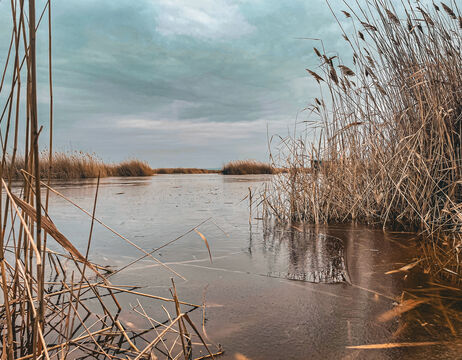 Startseite - Illmitz