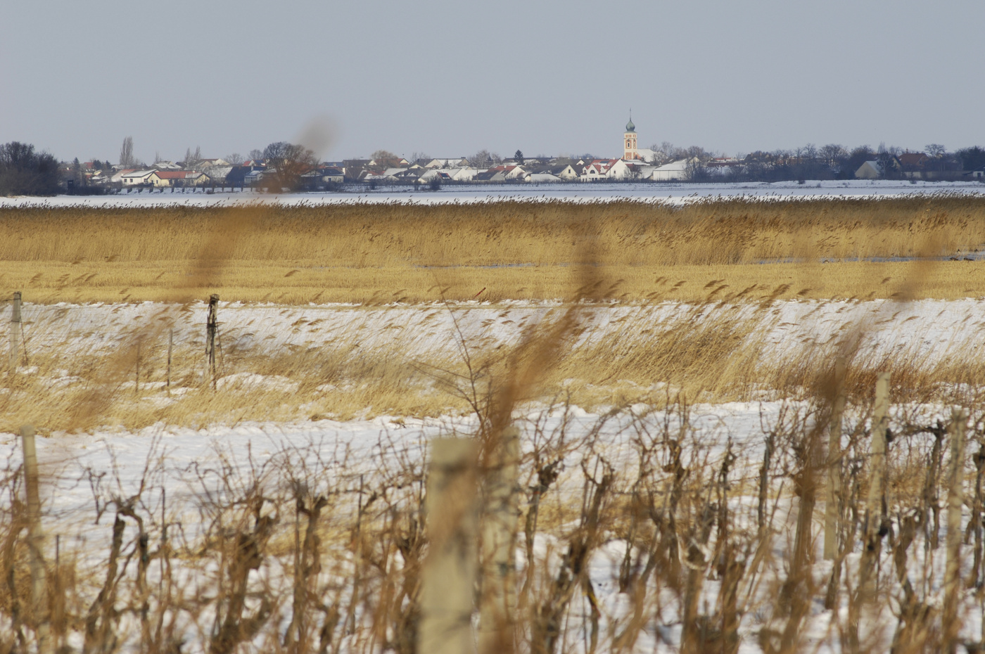 Startseite - Illmitz